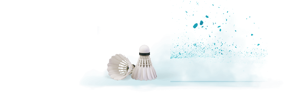 Online Badminton Coaching and Training | The Badminton Hub